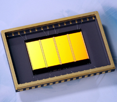 Apple pide 50 millones de chips flash