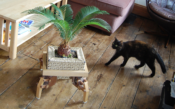 Robot que paseará tus plantas en busca de Sol