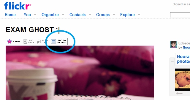 Flickr estrena Galerías